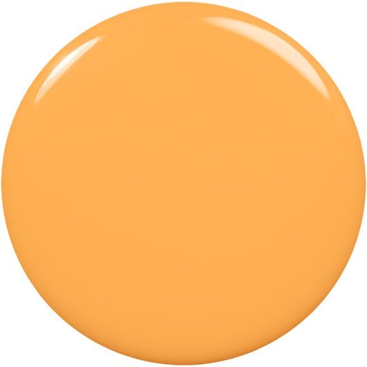 check your baggage nail polish nail color lacquer essie