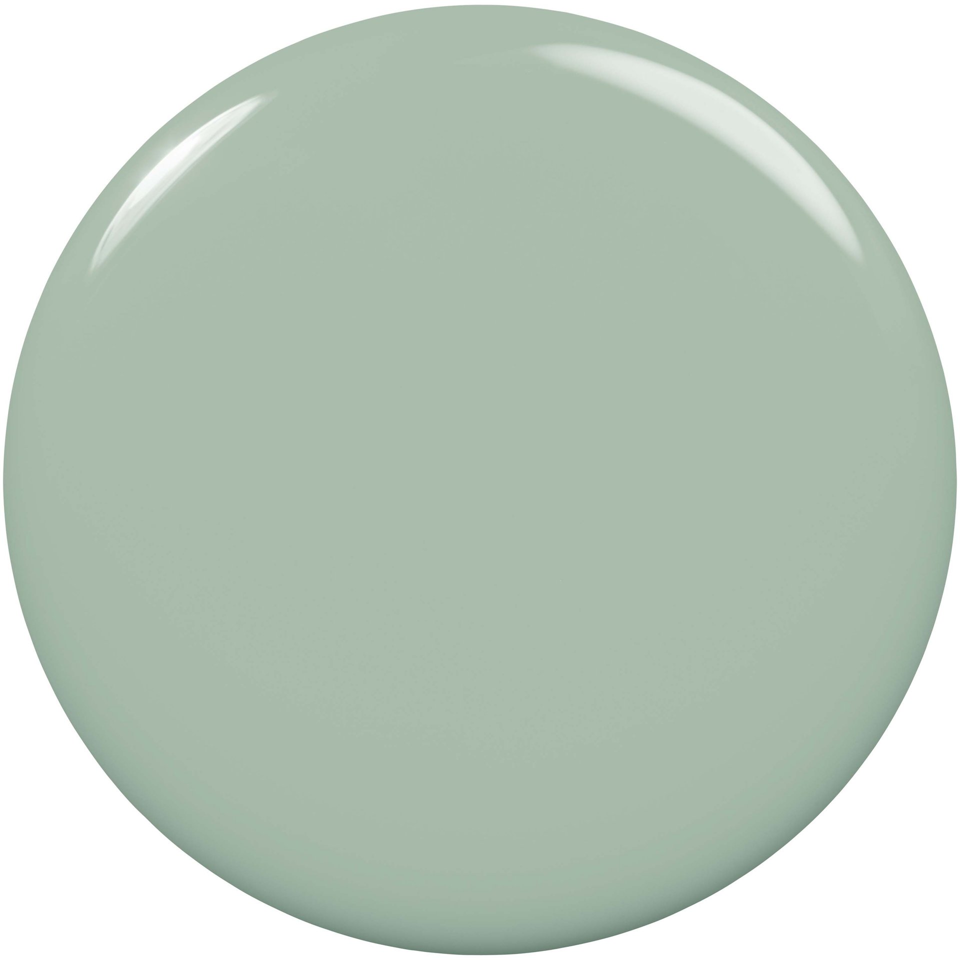 Beleaf In Yourself - Sage Green Nail Polish - Essie